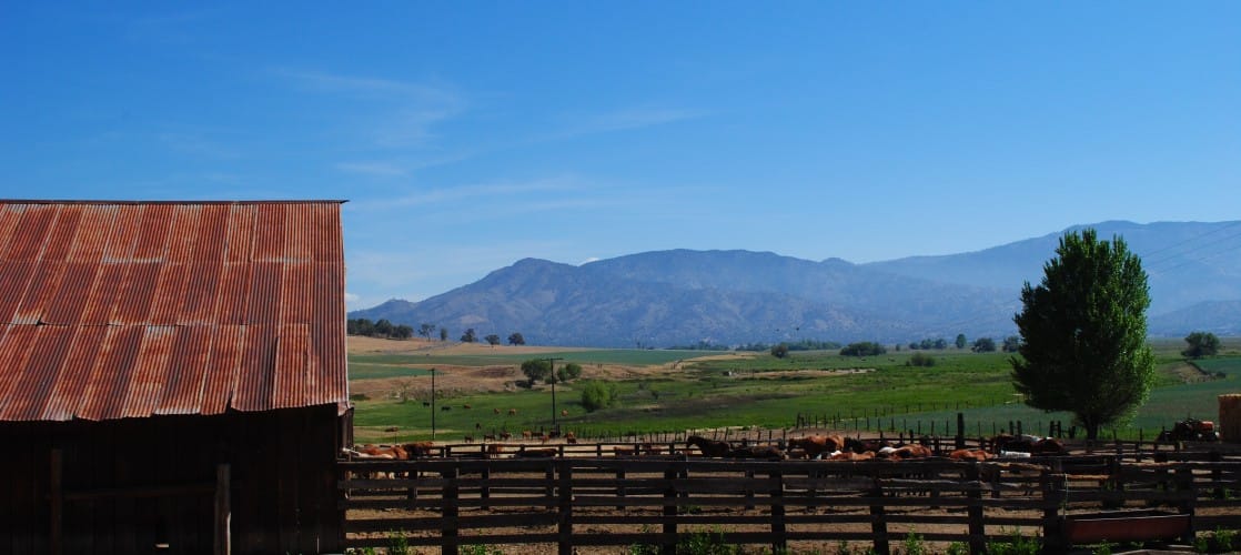 California Dude Ranch - CA Ranch Vacations | Rankin Ranch