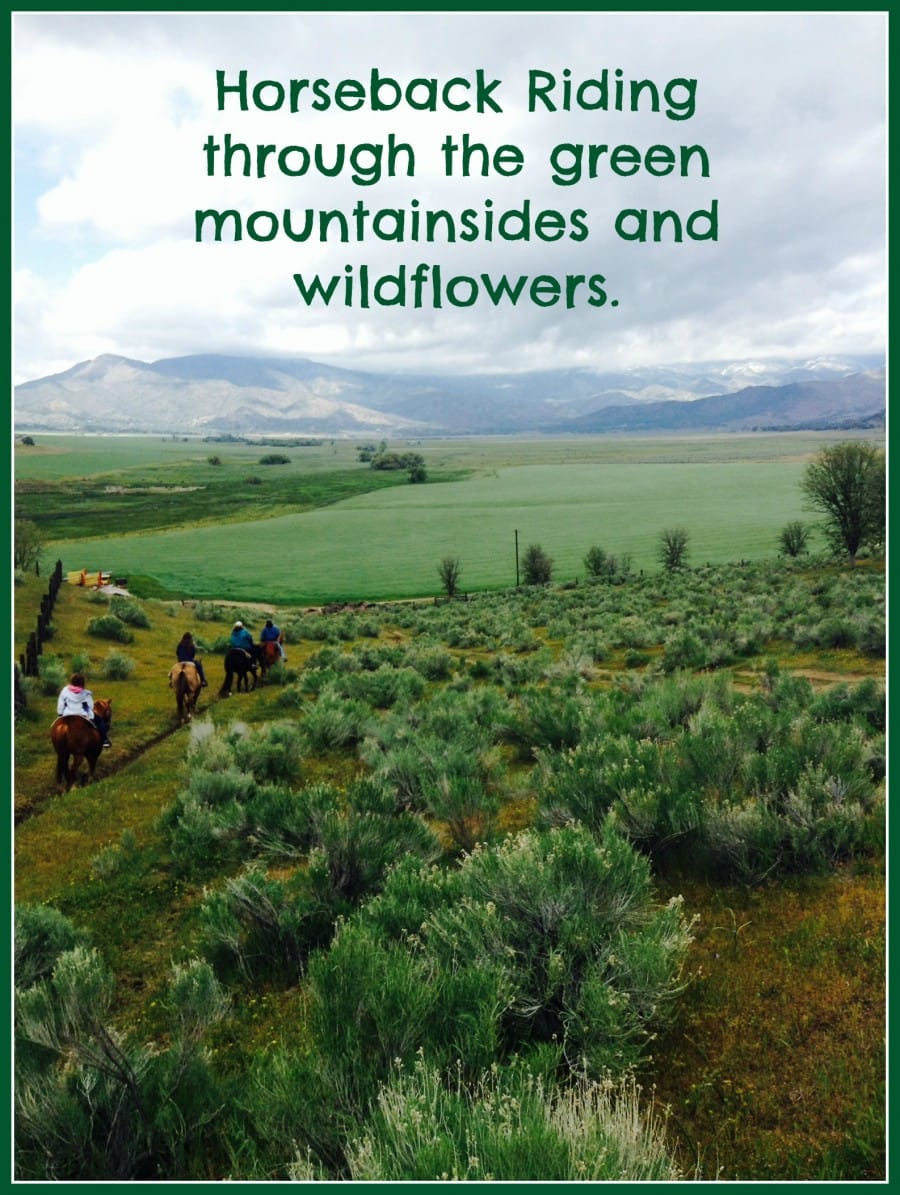 Spring Break 2016 - Horseback Riding and More - Rankin Ranch