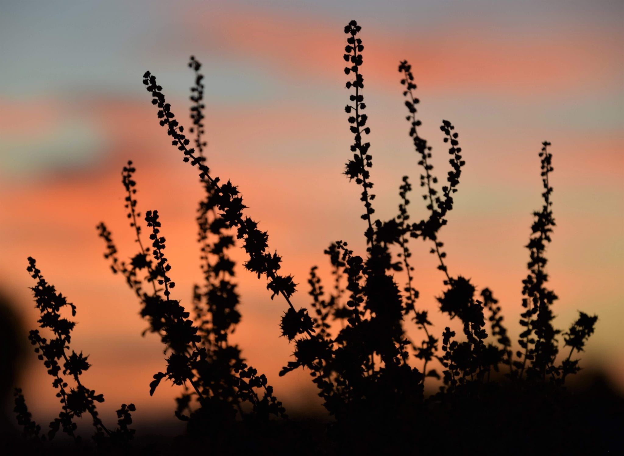 How to Enjoy Fall in Southern California - Rankin Ranch