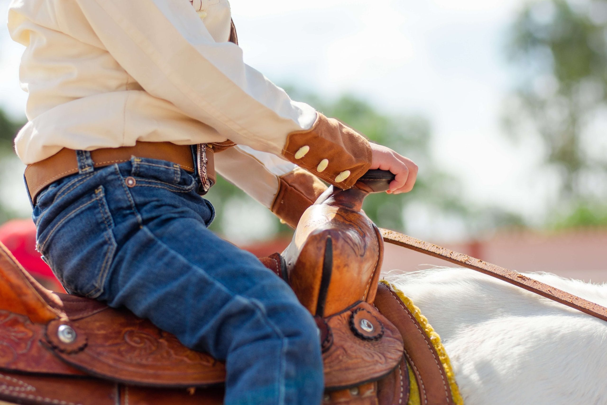 Why We Are the Best Horse Riding Ranch in California - Rankin Ranch