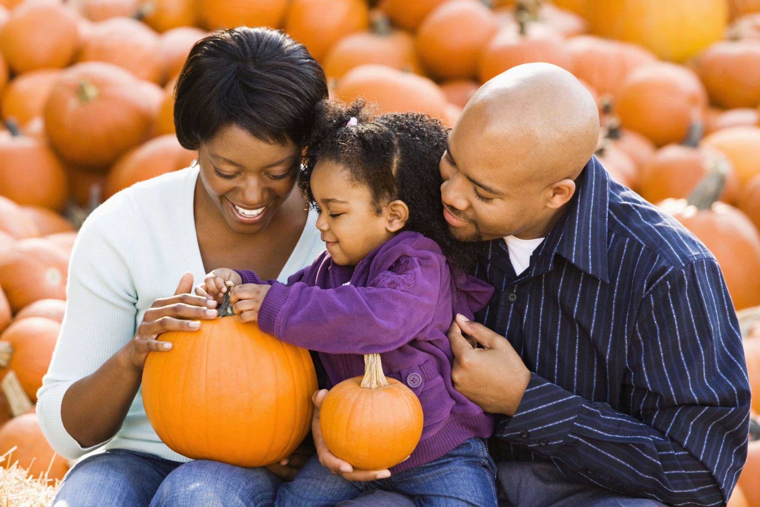 Fall Events To See In California In The Fall Rankin Ranch fall-events-to-see-in-california-in-the-fall-rankin-ranch